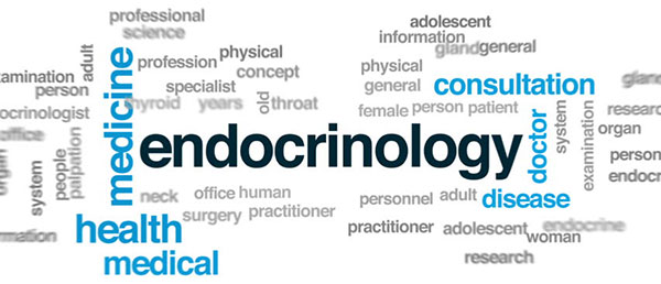 Referral - The Center For Diabetes & Endocrine Care